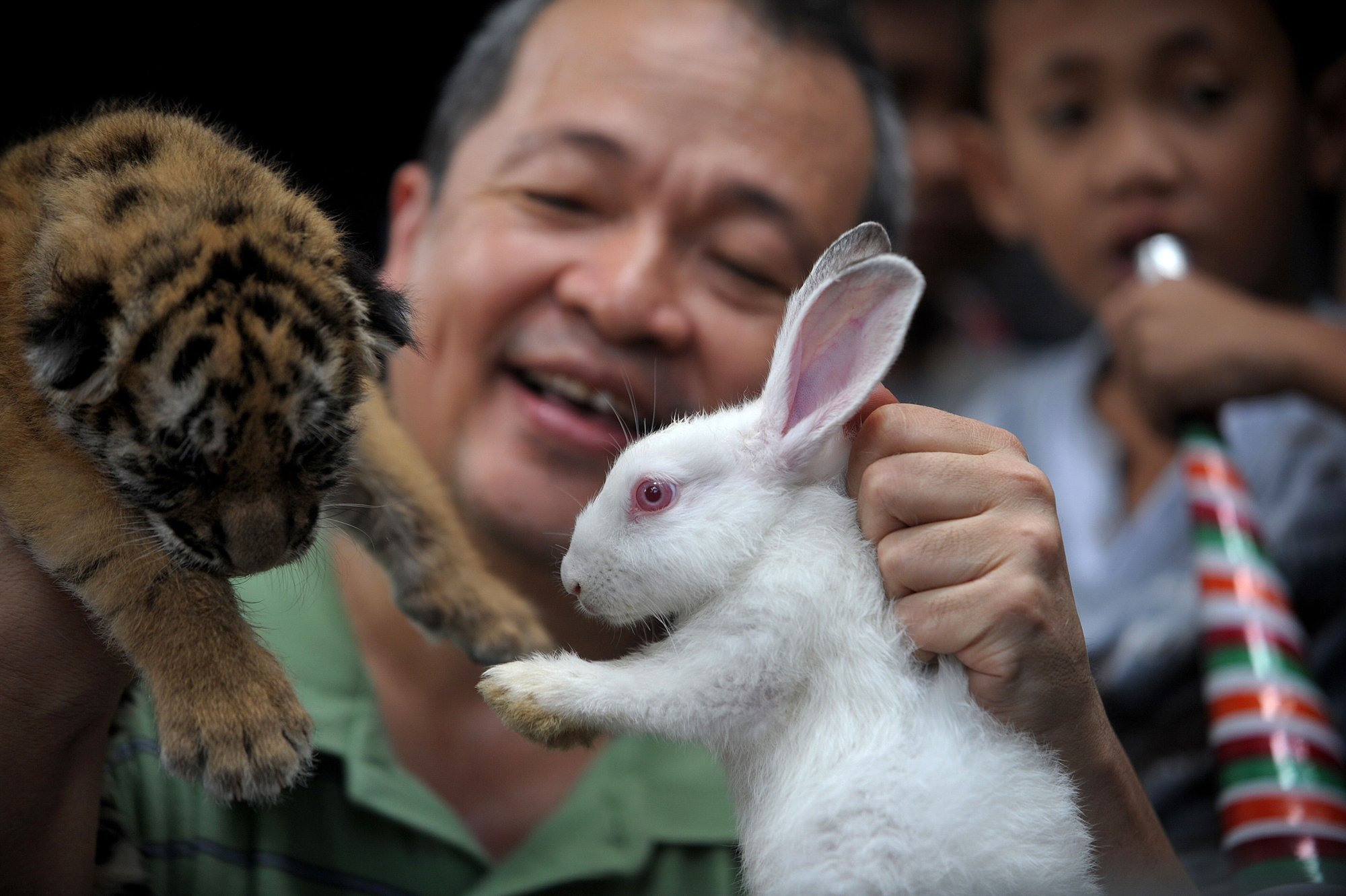 Lik sveikas, Tigre! - Delfi gyvenimas