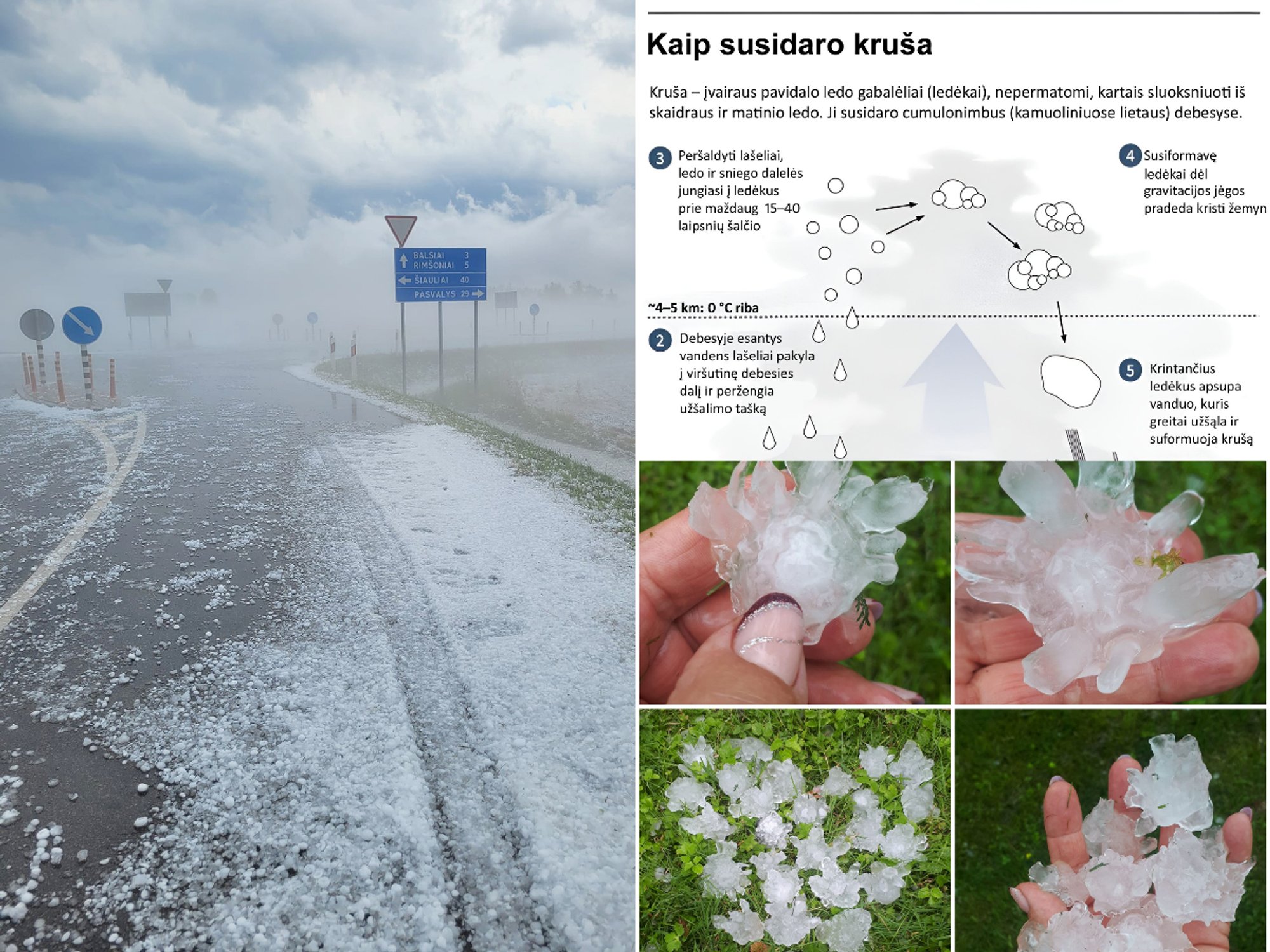 Dar vienas žiemiškas vaizdas prie Pakruojo: gamtos reiškinių ekspertai ...