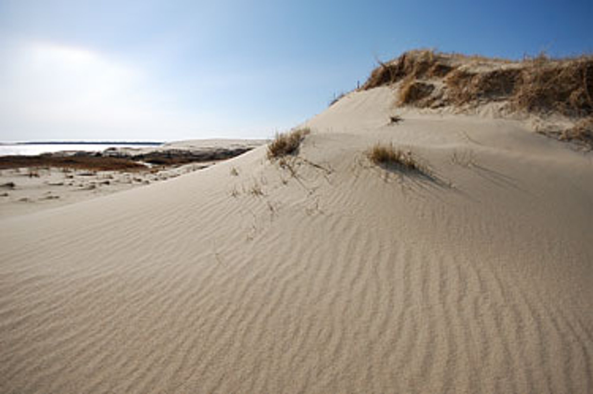 Neringa žada brangintis - Delfi verslas