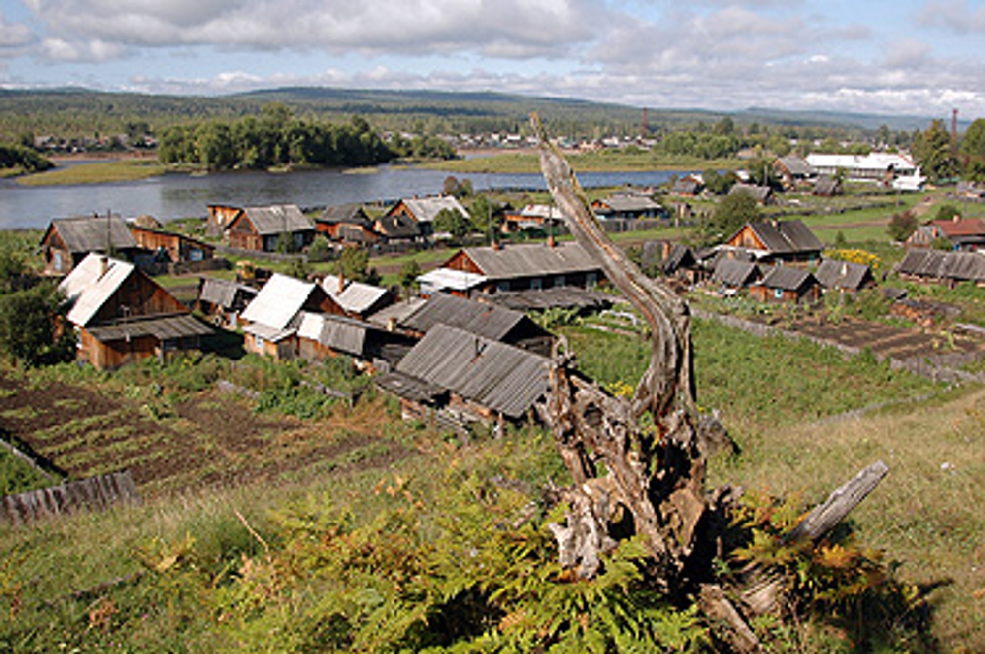 Ką valgyti vakarienei Sibire - Delfi gyvenimas