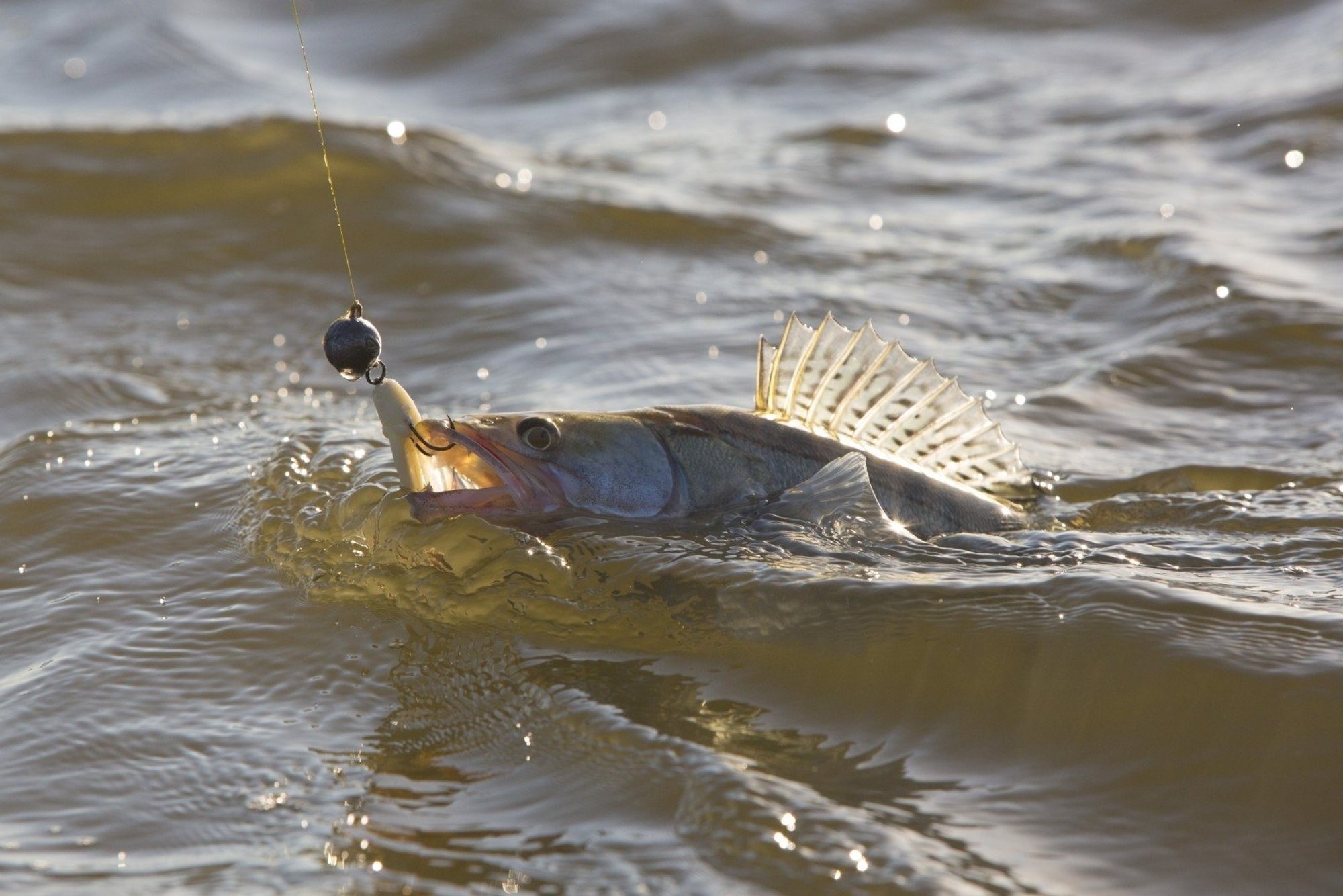 Pagavote starkį? Dinkite iš tos vietos! - Kablys.lt
