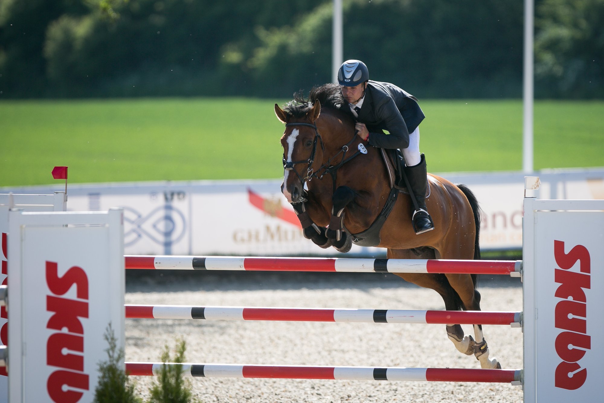 Pergalės himnas skambėjo Lietuvos raiteliui - Delfi sportas