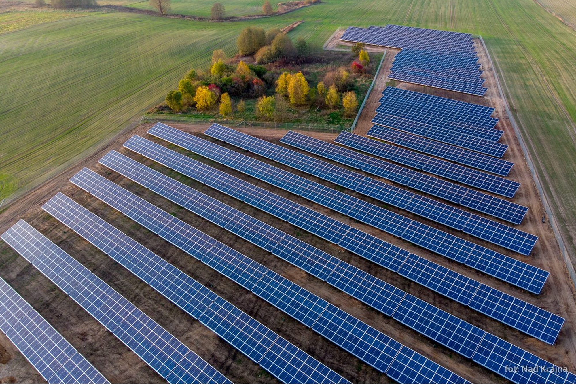 „Green Genius“ nusprendė trauktis iš Baltarusijos rinkos - Delfi verslas