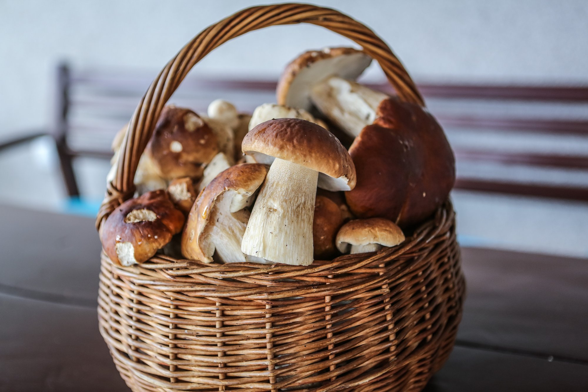 Pamatę baravykų kainas pirkėjai tikina: šiemet – kosminės - Delfi verslas