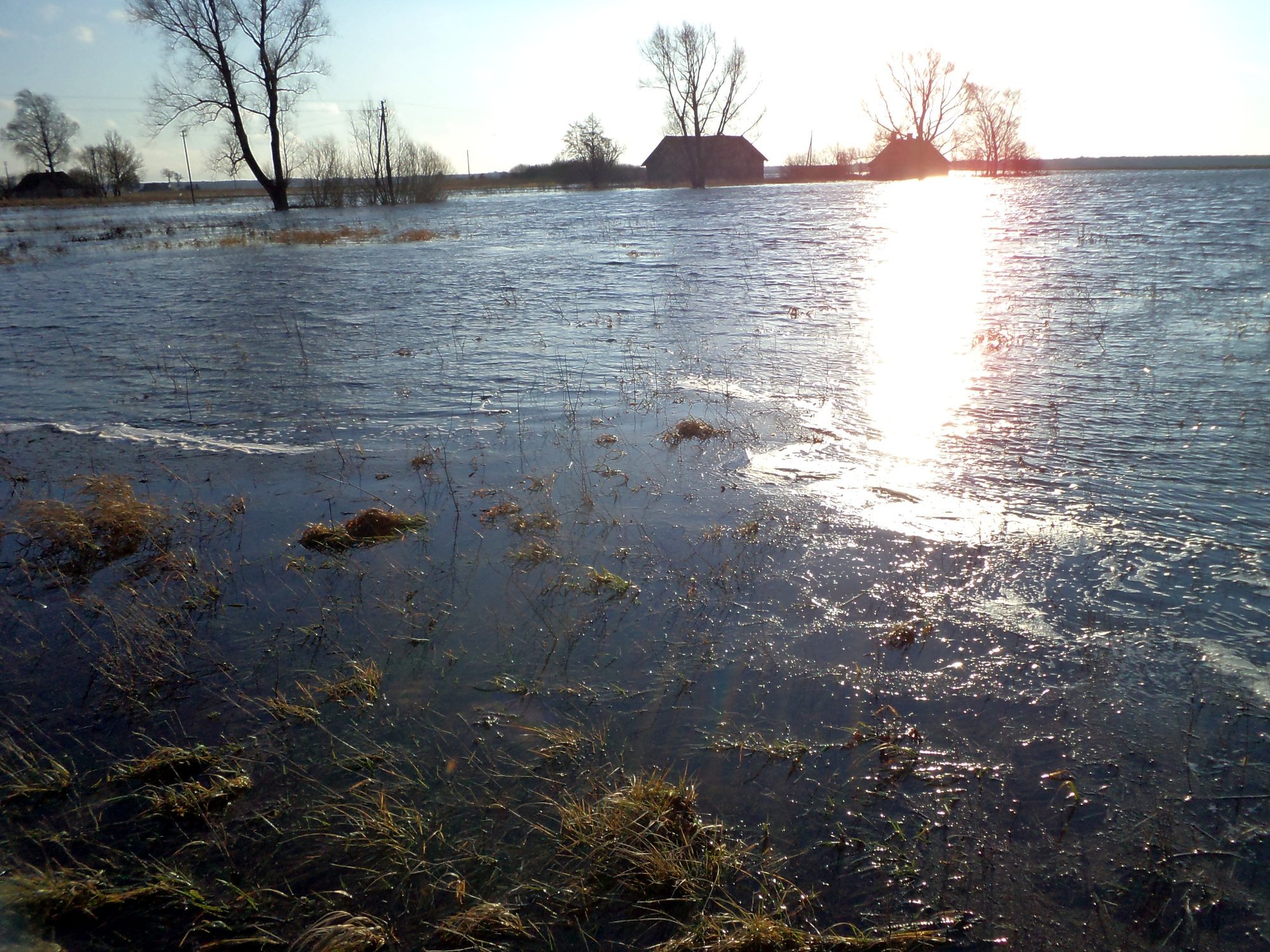 PAGD: pavasario potvynis numatomas kovo 10-15 d. - Delfi