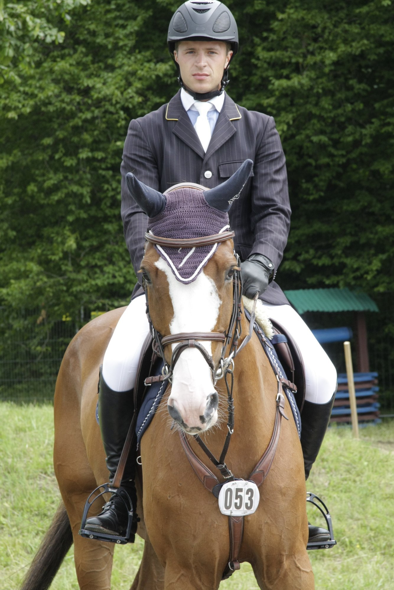 Lietuvos žirginio sporto federacija švenčia 80 metų sukaktį - Delfi sportas