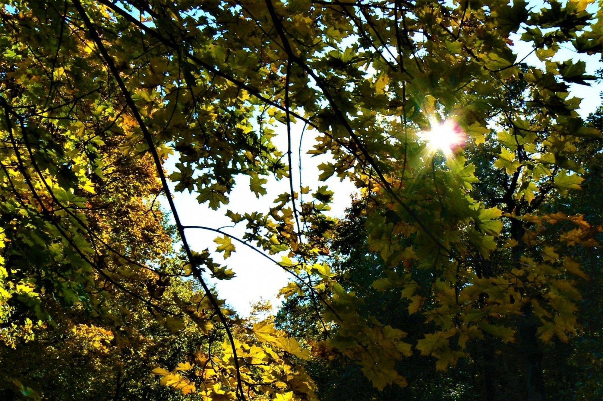 Savaitgalio orai: šeštadienį lapkritis negailės lietaus, o sekmadienį ...