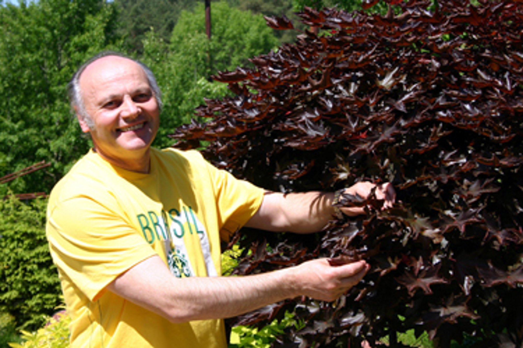 Augalus pamėgęs verslininkas nepyksta ant nuostolių pridariusios žiemos ...
