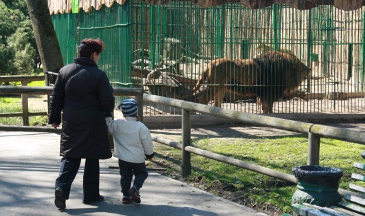 Lietuvos zoologijos sodas pasitinka 71-ąjį sezoną - Delfi grynas Lietuvos zoologijos sodas pasitinka 71-ąjį sezoną - Delfi grynas