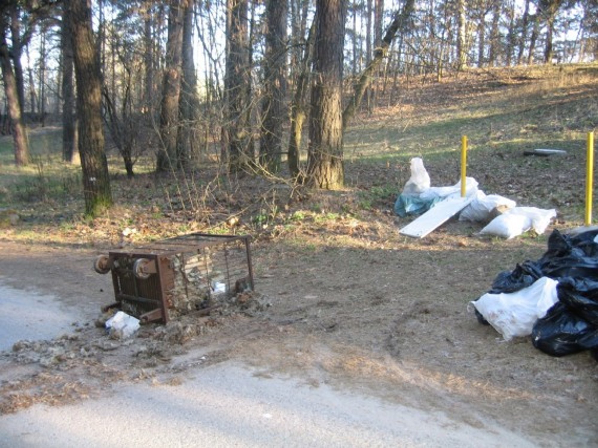 R.Rutkelytė: odė džiaugsmui ir likimo simfonija - Delfi