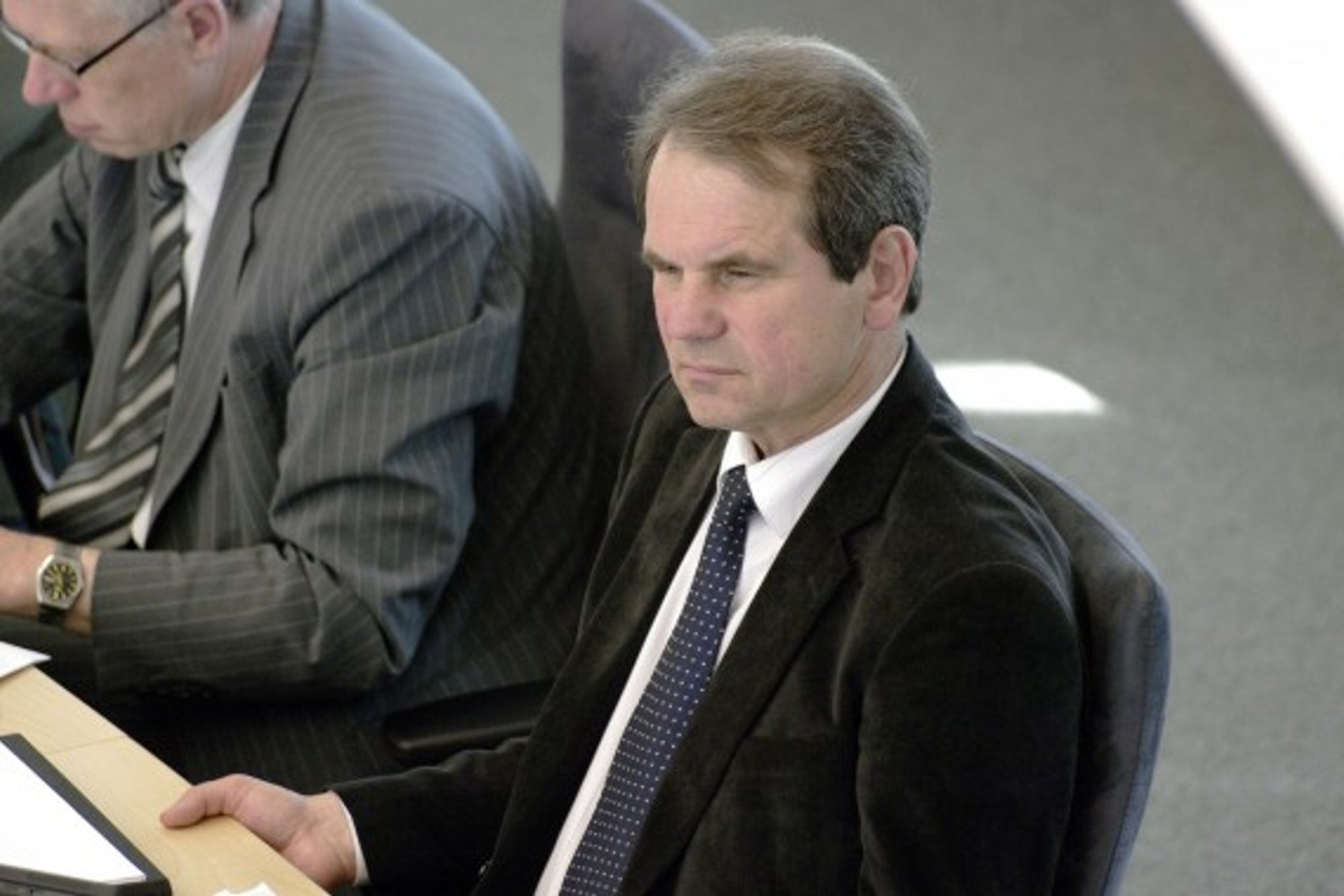 V.Žiemeliui – pasiūlymas įsivaikinti du šuniukus - Delfi