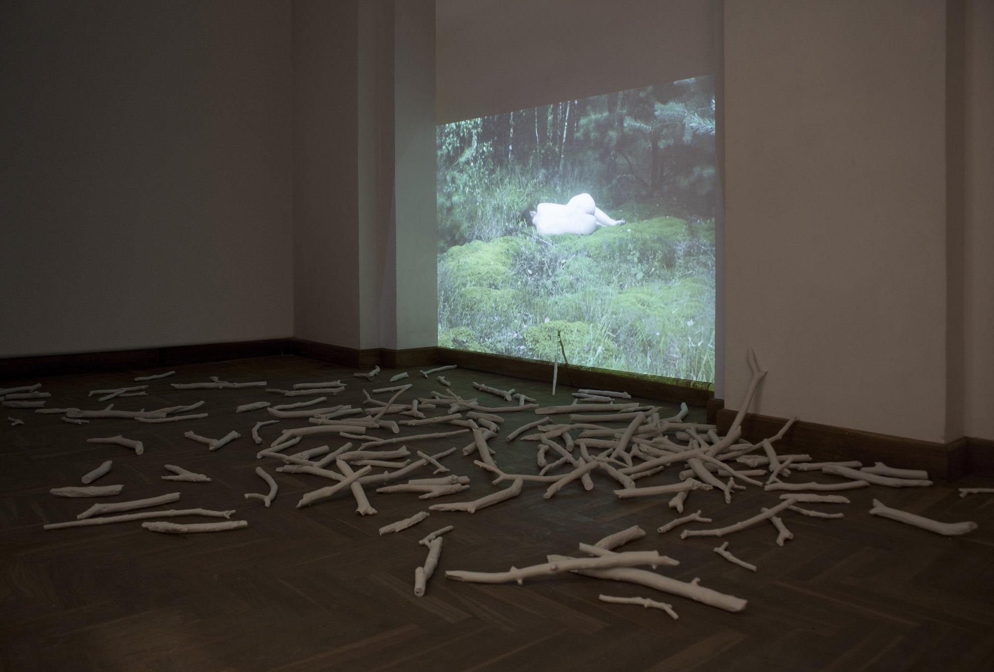 Vilniuje – lenkų menininkės Michalinos Bigaj personalinė paroda ...