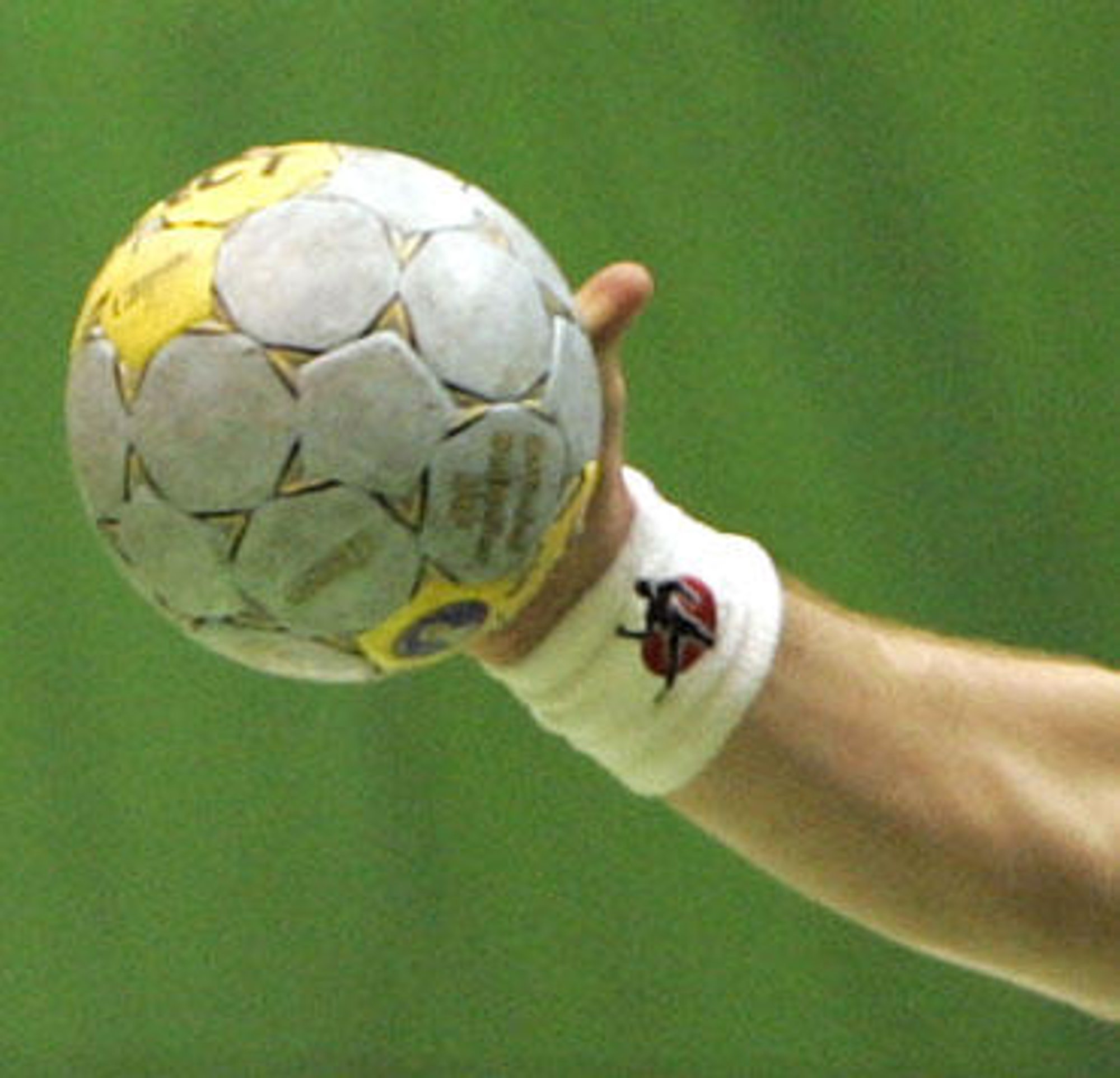 „Lūšies“ rankininkai veržiasi į kovą - Delfi sportas