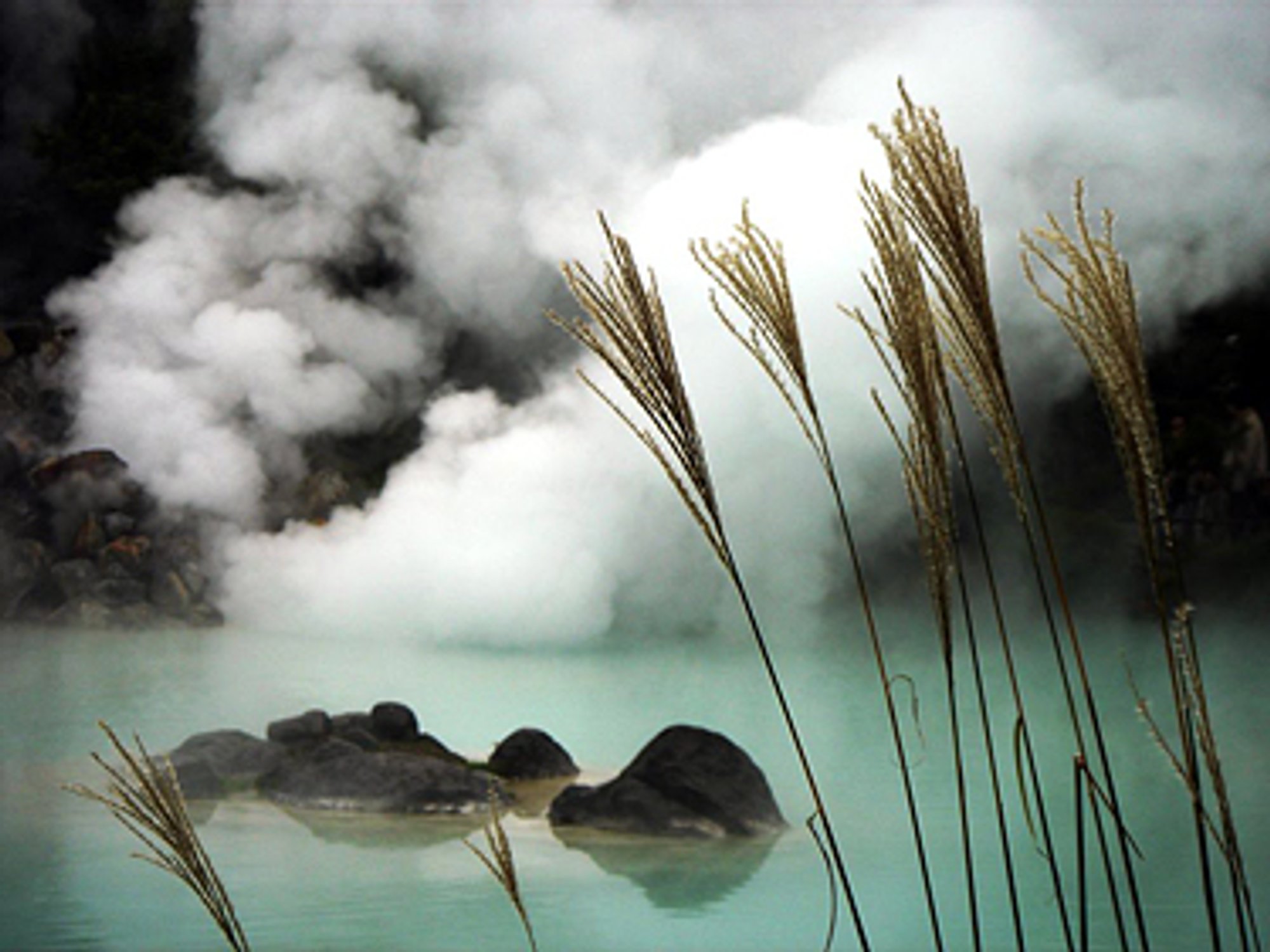 Japonija – mitai ir realybė (nuotraukų albumas) - Delfi veidai