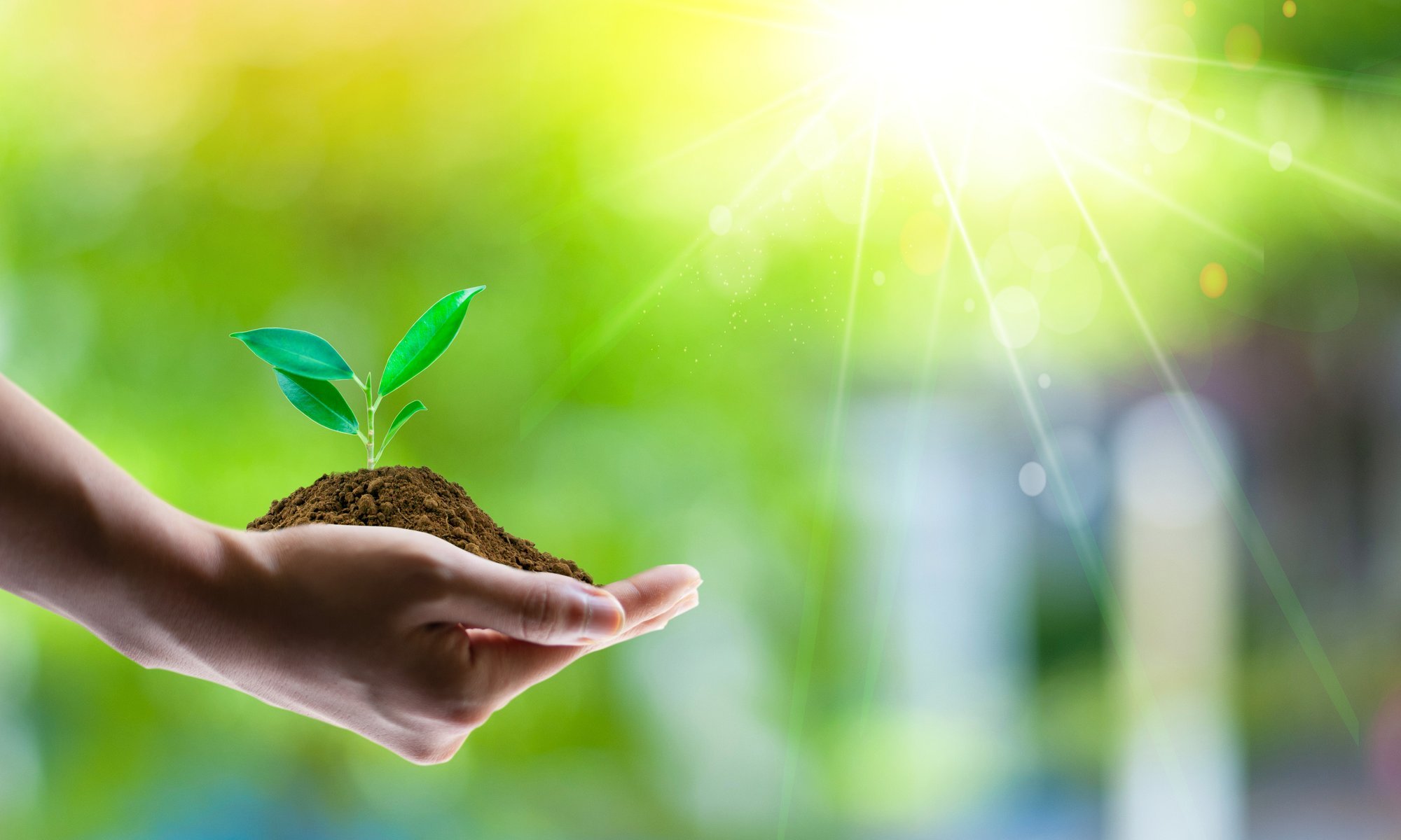 Agrarinė aplinkosauga ir klimatas: kokios veiklos yra remiamos? - Delfi