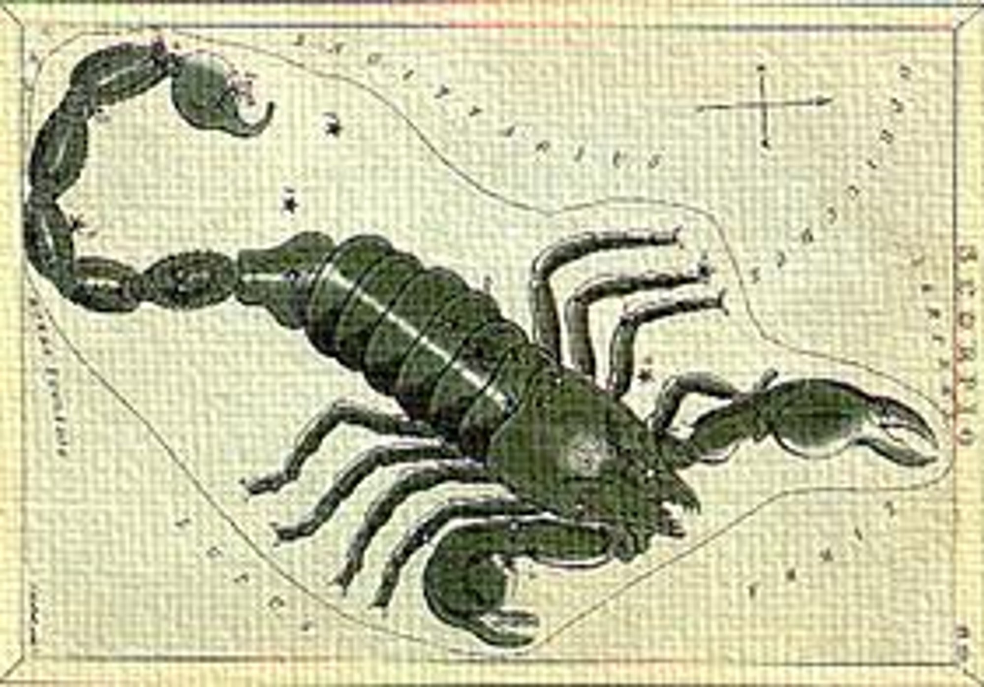 Astrologinių ženklų portretai. Skorpionas - Delfi gyvenimas