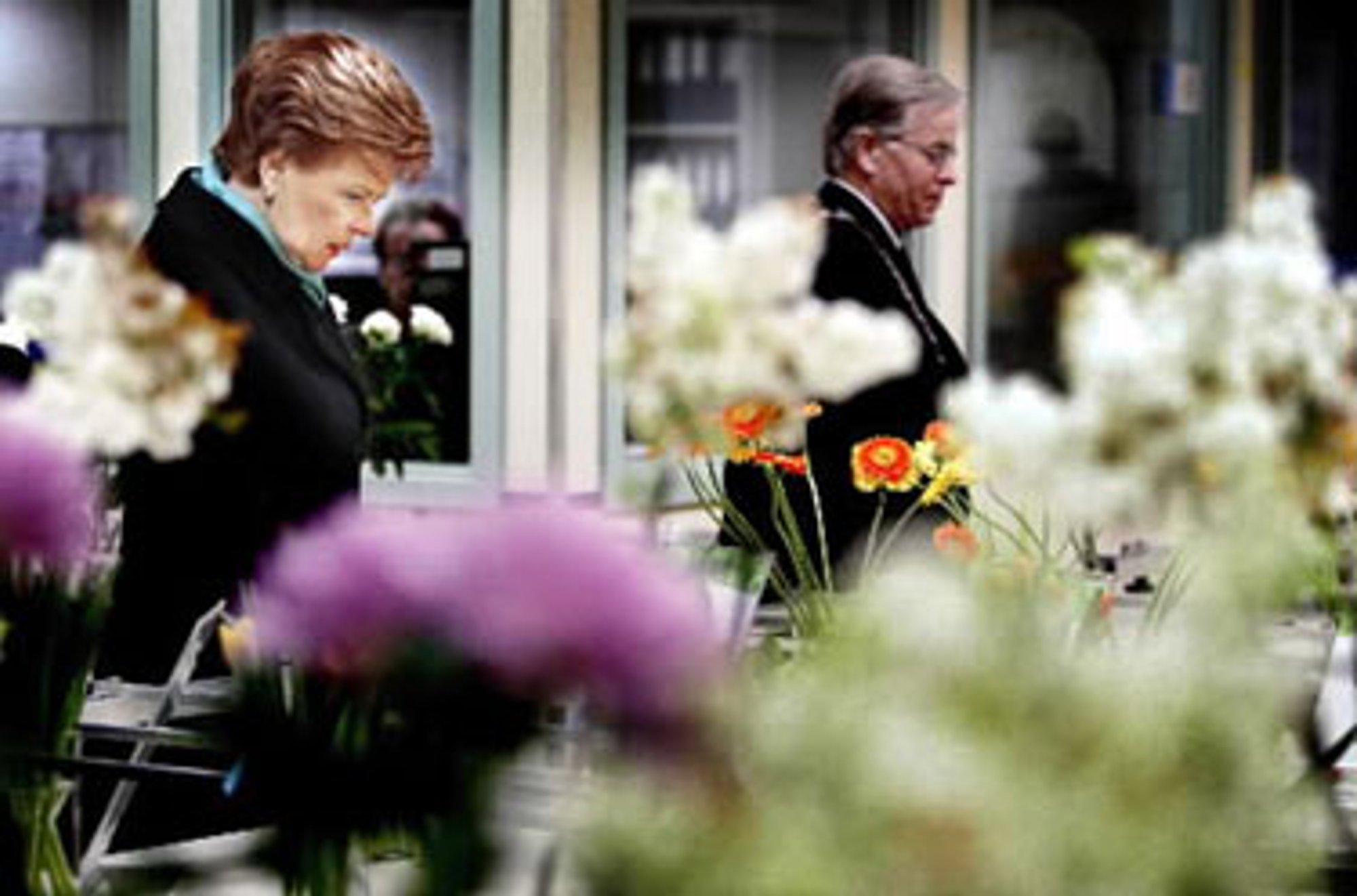 Freibergos solo - Delfi