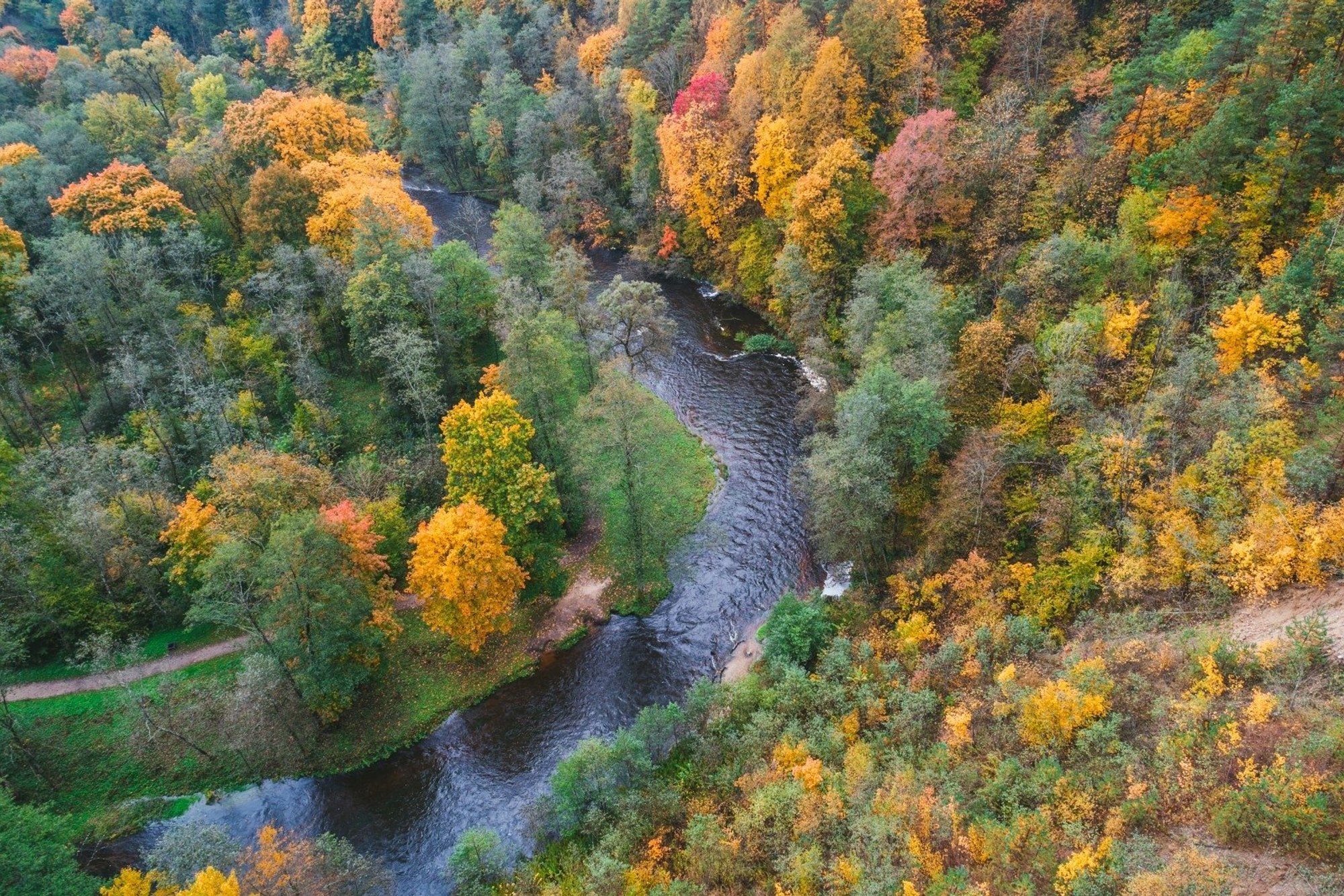 Pasigrožėkime lietuviško rudens palete: kodėl medžiai nusidažo ...