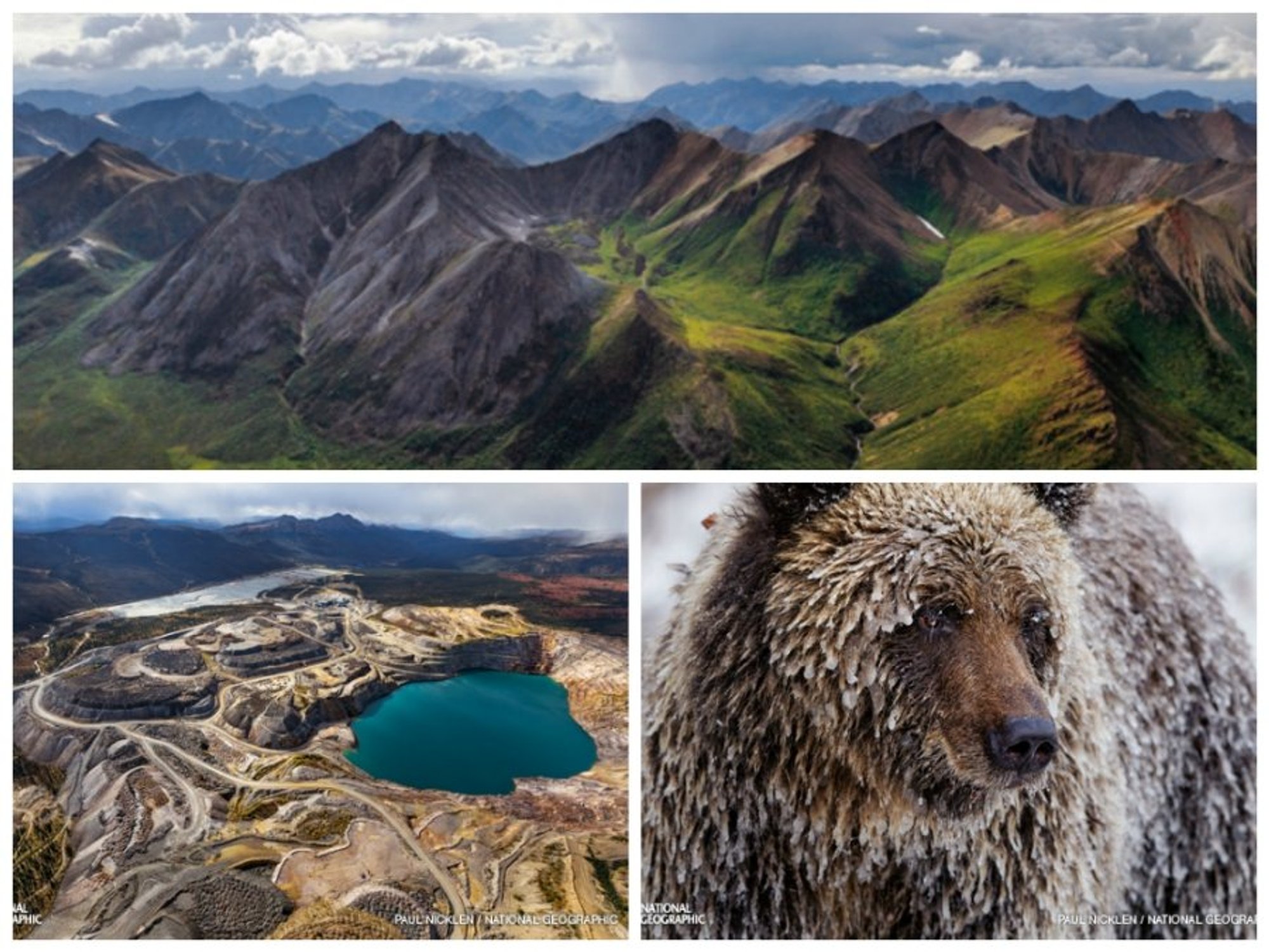 Iš naujo užgimusi aukso karštinė atgaivino pamirštą Kanados kampelį ...