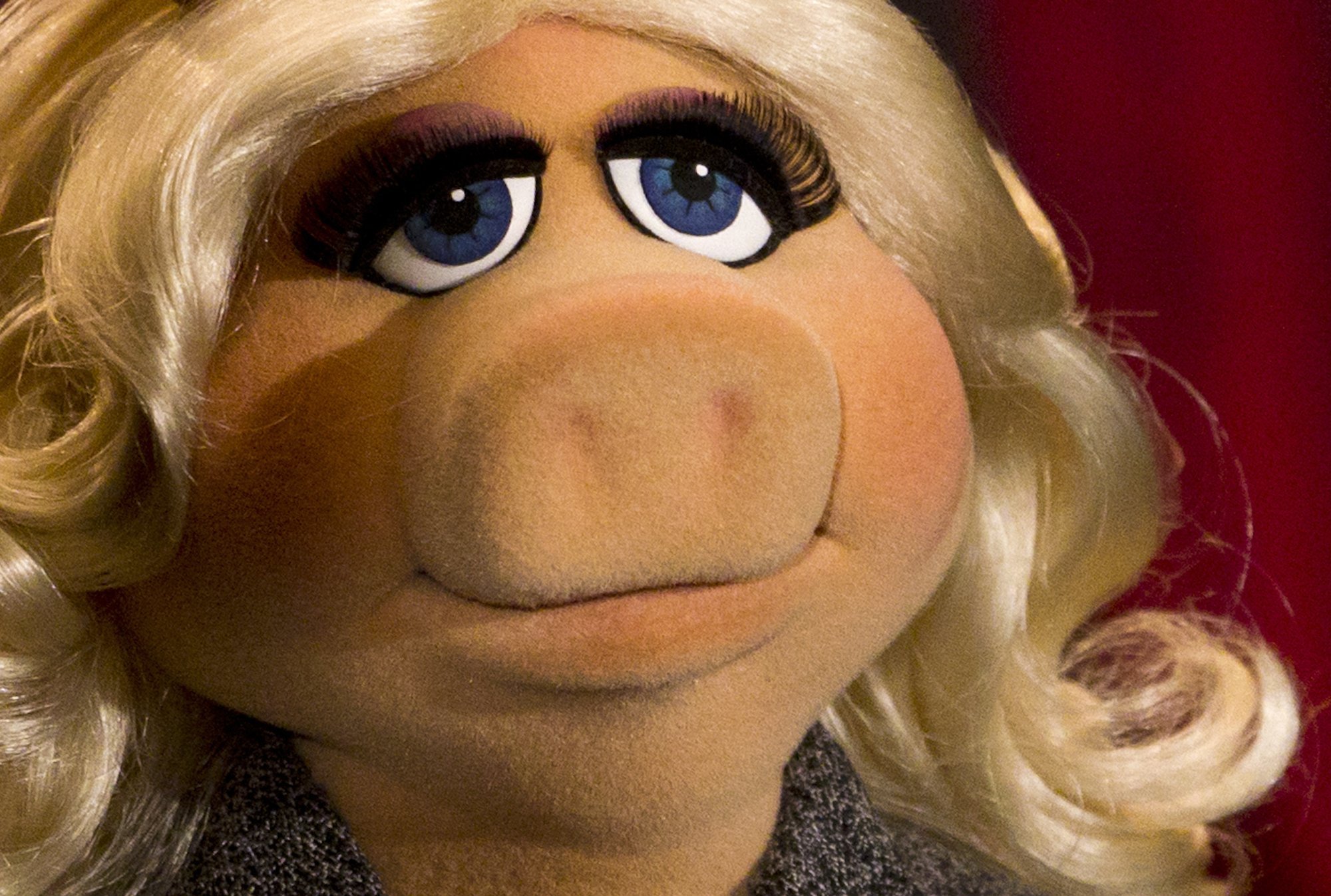 "Mapetai" gavo savo žvaigždę Holivudo Šlovės alėjoje - Delfi veidai