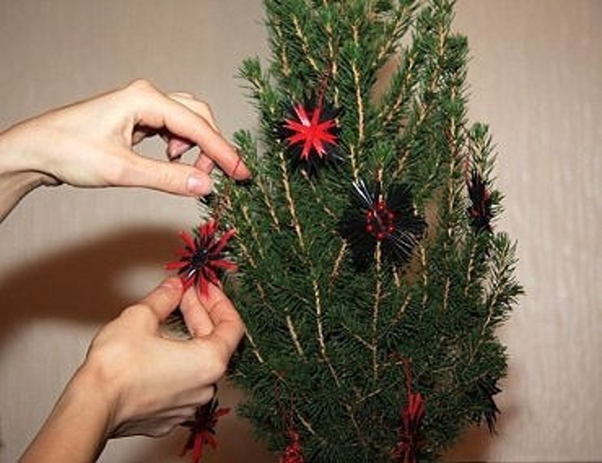 47 proc. Lietuvos gyventojų per Kalėdas puošia dirbtinę eglutę, o 35 ...