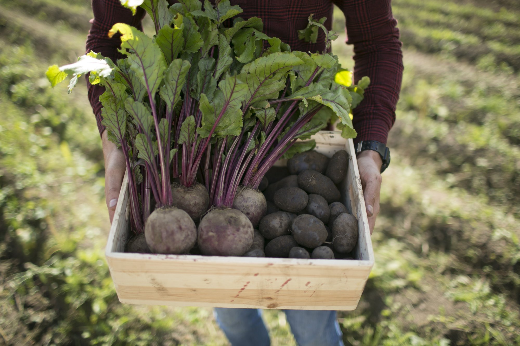 „Auga group“ laikinai vadovaus E. Chodzkaitė-Barauskienė - Delfi verslas