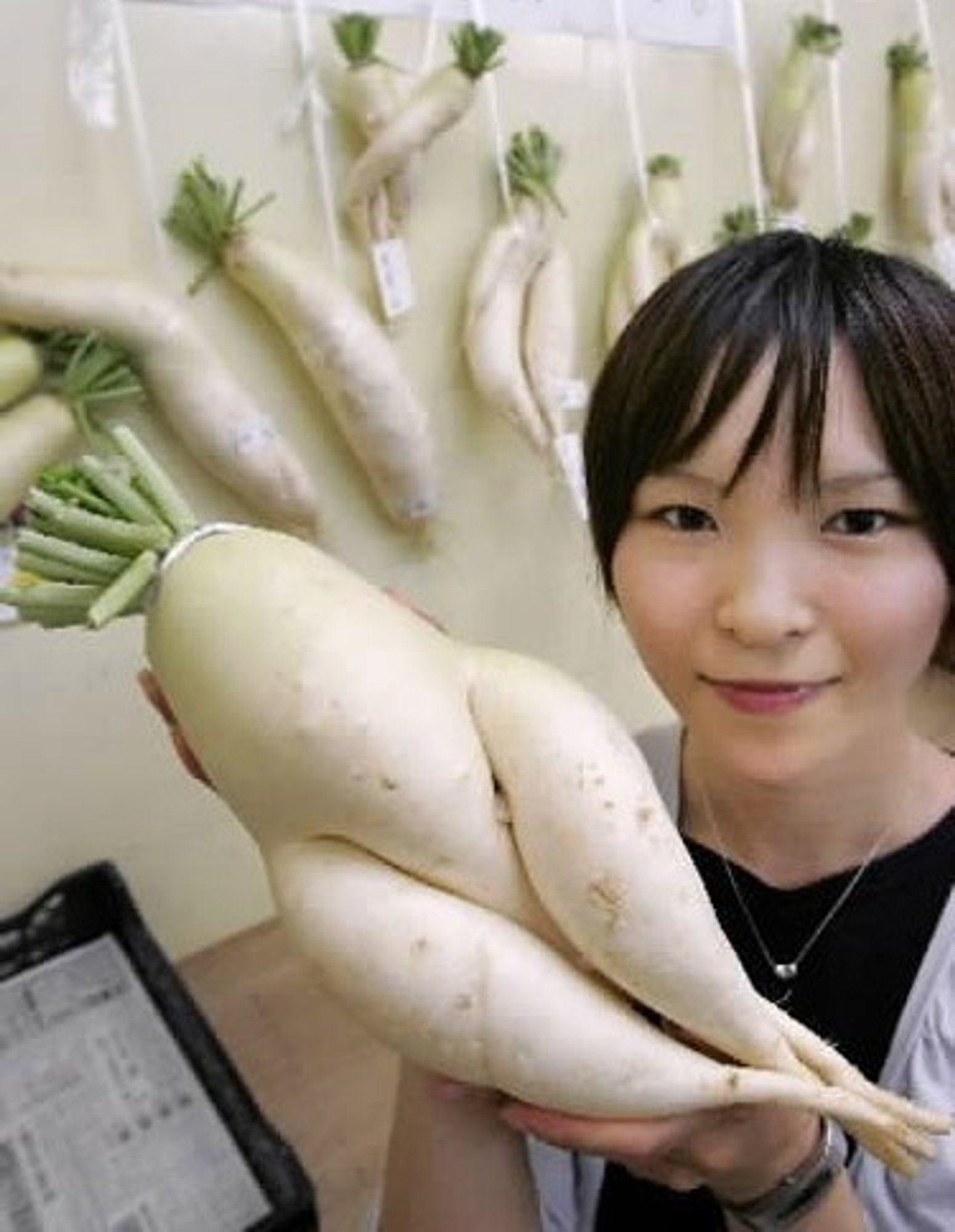 Baltieji ridikai ir salotoms, ir sveikatai stiprinti - Delfi