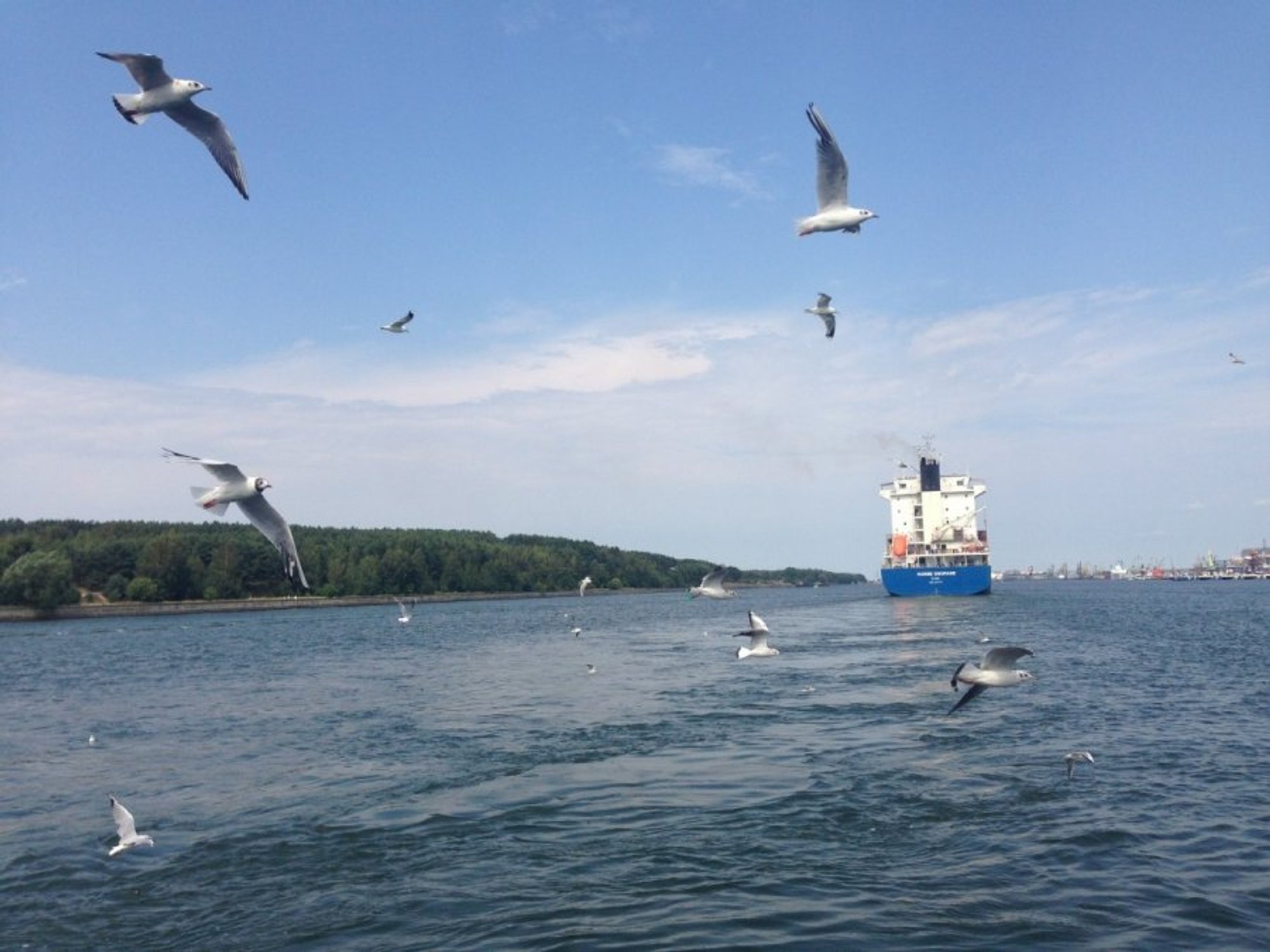 Kelto keleivis apkaltino apsaugininką apiplėšimu - Delfi