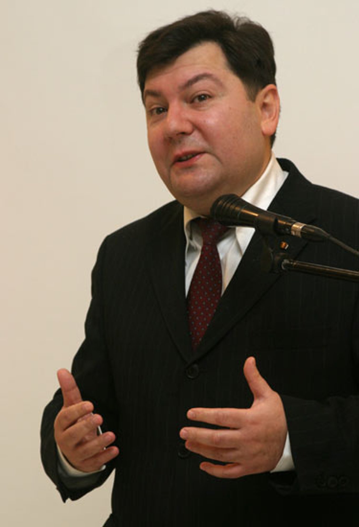 E.Zingeris - Seimo išsiblaškėlis - Delfi veidai