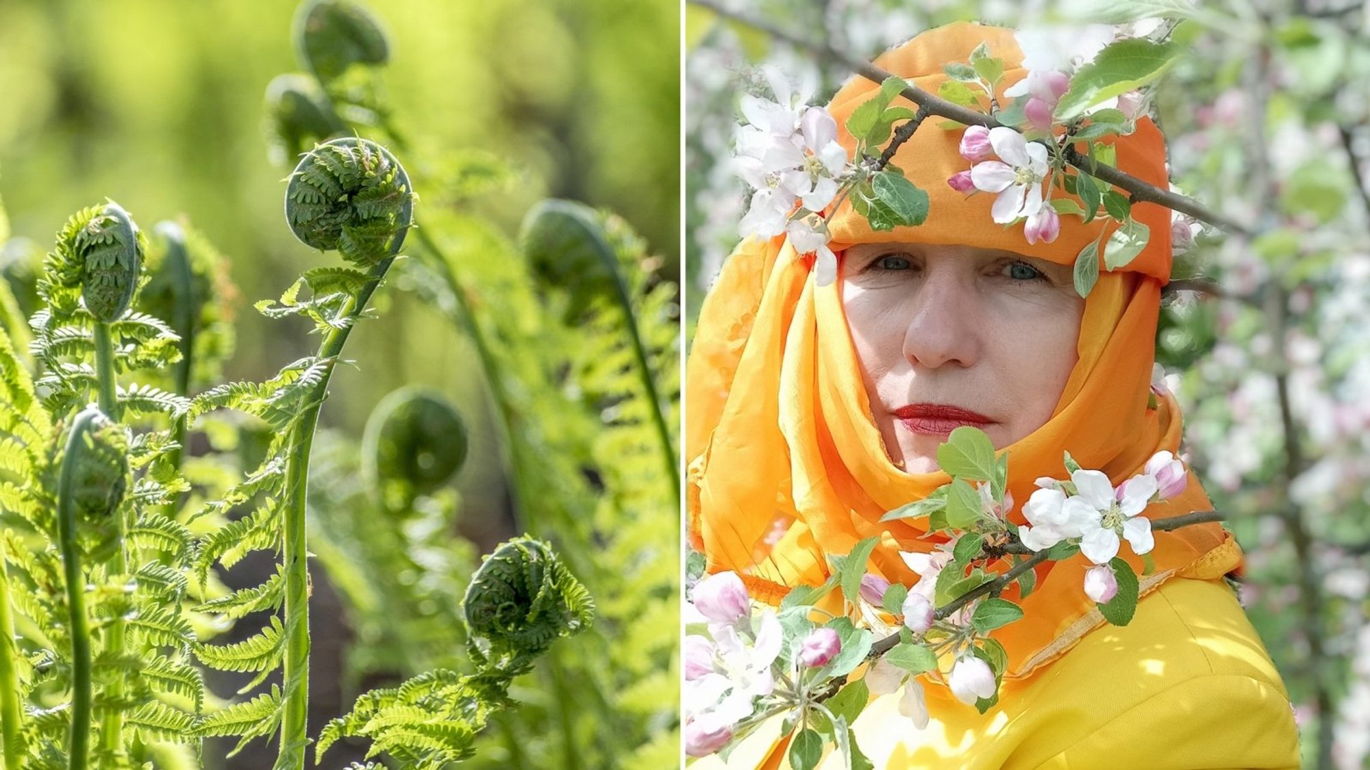 Lektorė papasakojo, kokios Joninių tradicijos ir papročiai padės ...