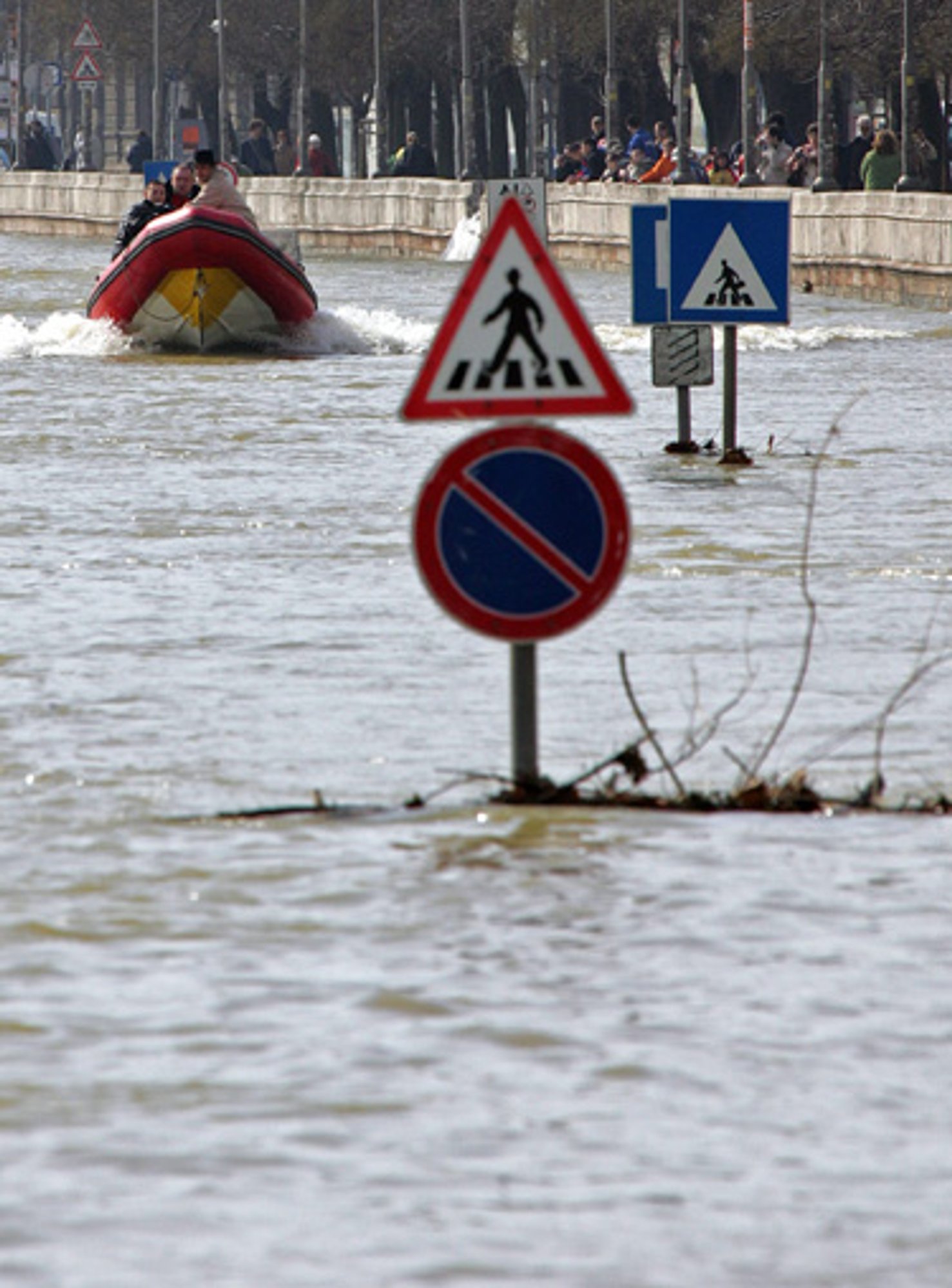Dunojuje vandens lygis pasiekė rekordinį lygį - Delfi