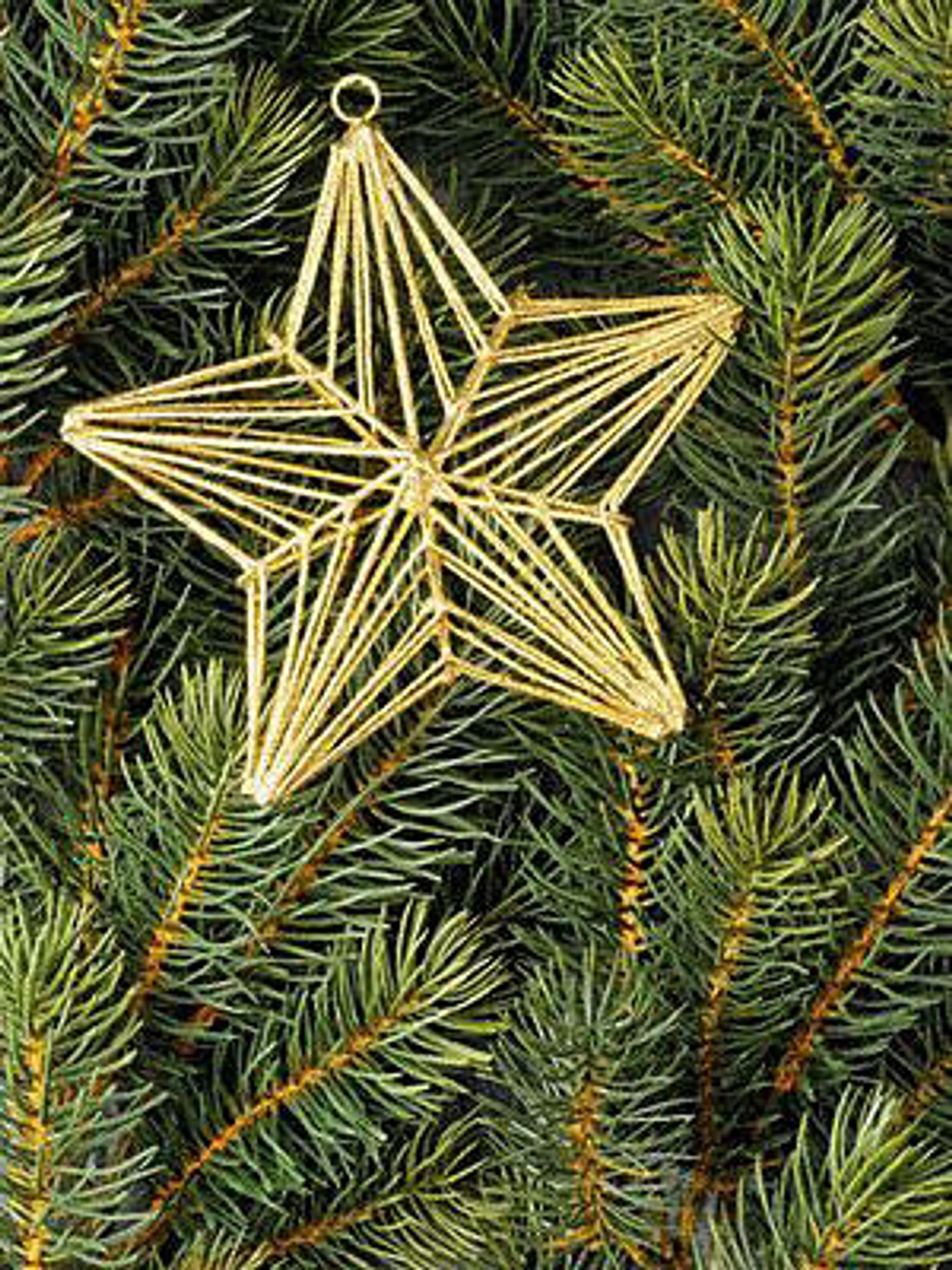 Šv.Kalėdas sostinėje paskelbs modernios eglutės įžiebimas - Delfi veidai